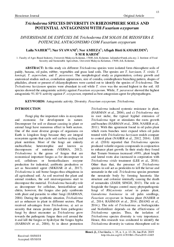 (PDF) Trichoderma species diversity in rhizosphere soils and potential antagonism with Fusarium ...