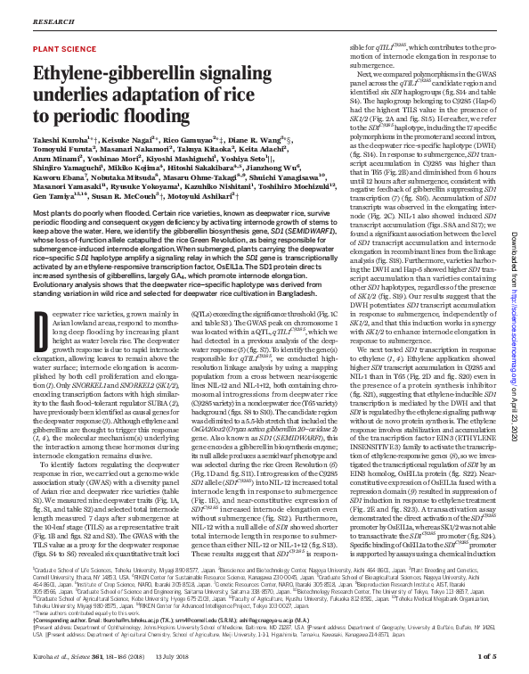 (PDF) Ethylene-gibberellin signaling underlies adaptation of rice to ...