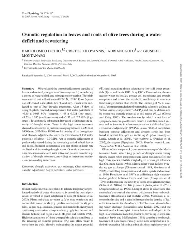(PDF) Osmotic regulation in leaves and roots of olive trees during a ...