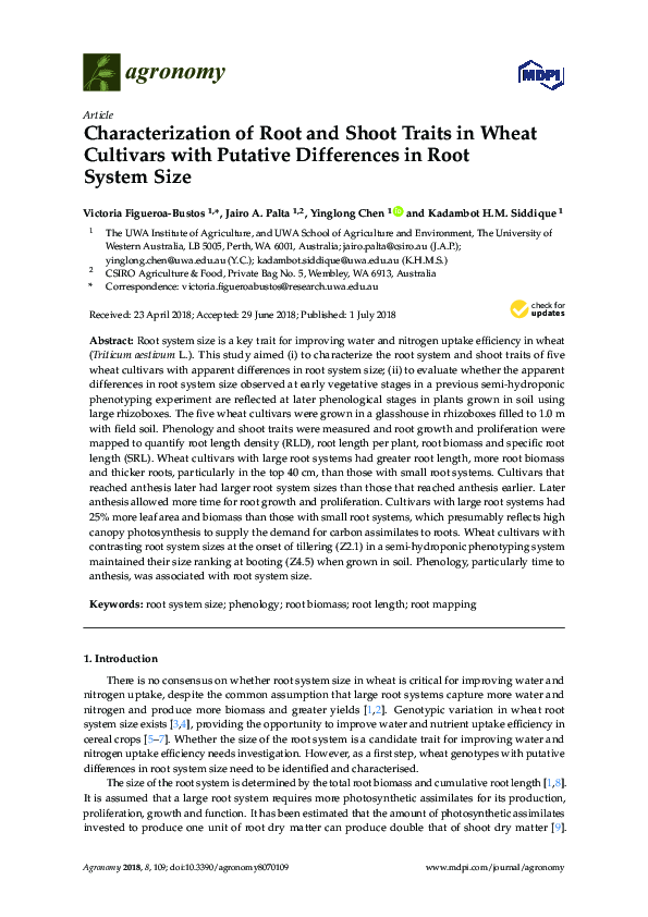 (PDF) Characterization of Root and Shoot Traits in Wheat Cultivars with ...