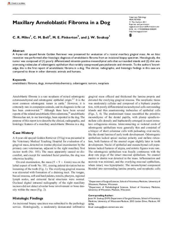 (PDF) Maxillary Ameloblastic Fibroma in a Dog | Jason Soukup - Academia.edu