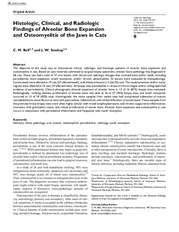 (PDF) Histologic, Clinical, and Radiologic Findings of Alveolar Bone ...