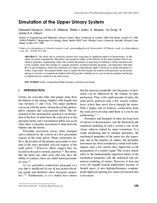 (PDF) Simulation of the Upper Urinary System | Eldad Avital - Academia.edu