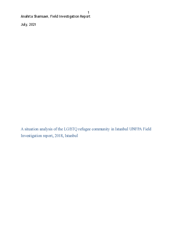 (PDF) A situation analysis of the LGBTQ refugee community in Istanbul ...