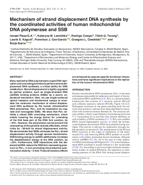 (PDF) Mechanism of strand displacement DNA synthesis by the coordinated ...