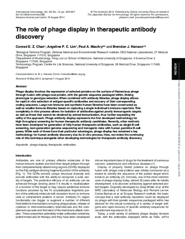 (PDF) The role of phage display in therapeutic antibody discovery