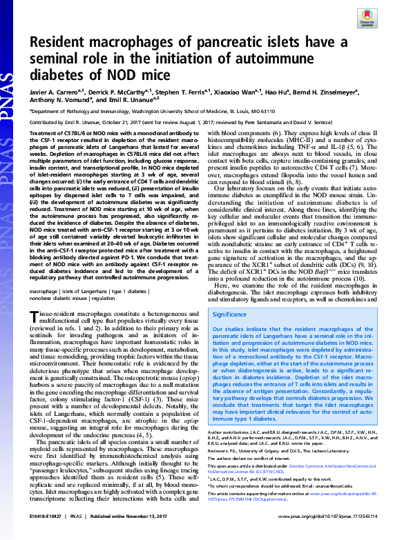 (PDF) Resident macrophages of pancreatic islets have a seminal role in ...