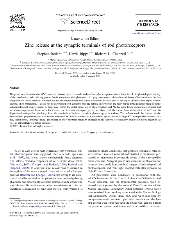 (PDF) Zinc release at the synaptic terminals of rod photoreceptors