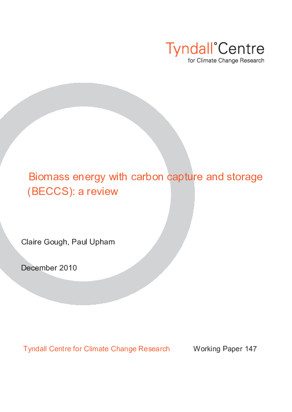 (PDF) Review of Biomass Energy with Carbon Capture and Storage