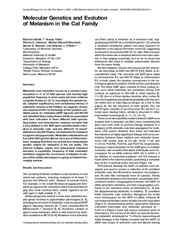 (PDF) Molecular Genetics and Evolution of Melanism in the Cat Family