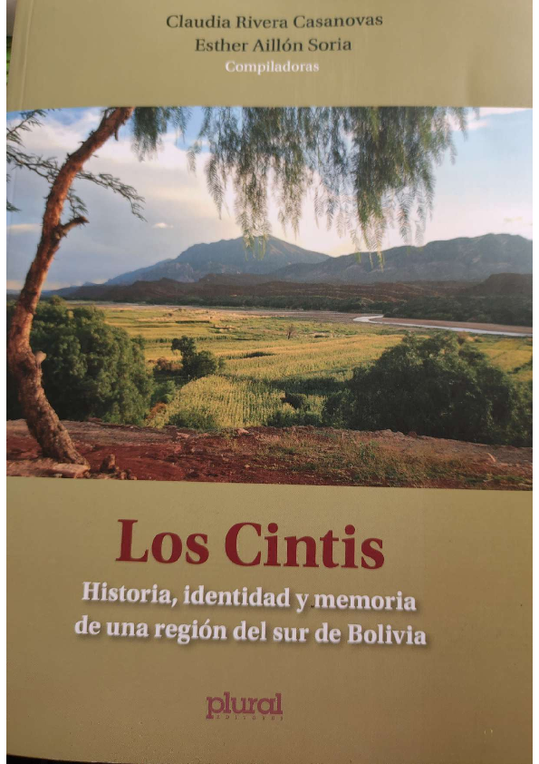 (PDF) "Altiplánicos en Pilaya y Paspaya: el caso de los visisa, siglos ...