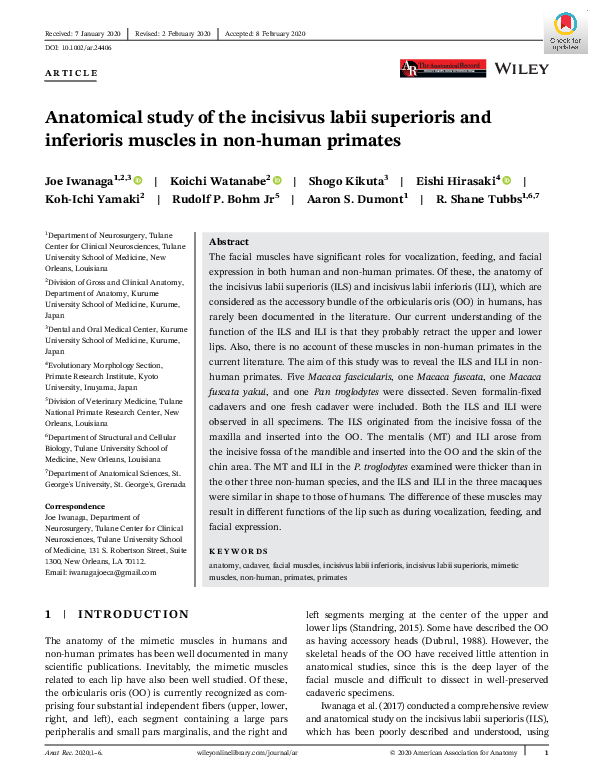 (PDF) Anatomical study of the incisivus labii superioris and inferioris ...