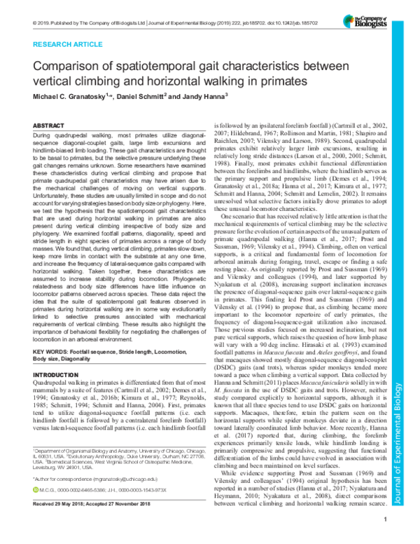 (PDF) Patterns of Vertical Climbing in Primates
