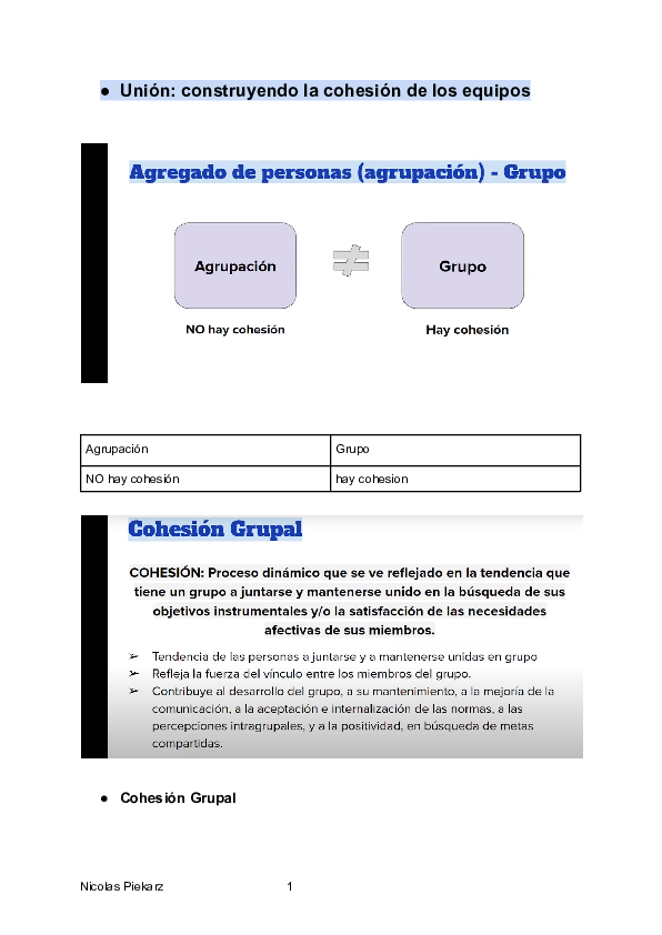 (PDF) Unión: construyendo la cohesión de los equipos