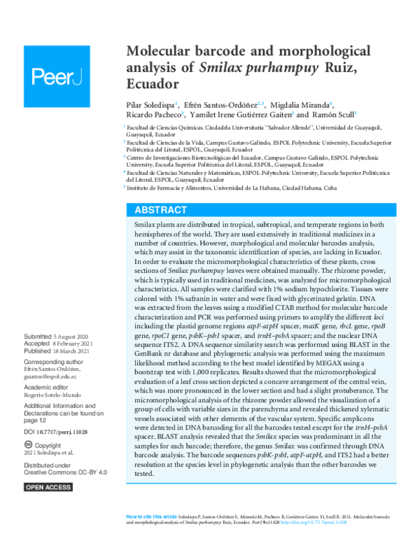 (PDF) Molecular barcode and morphological analysis of Smilax purhampuy ...
