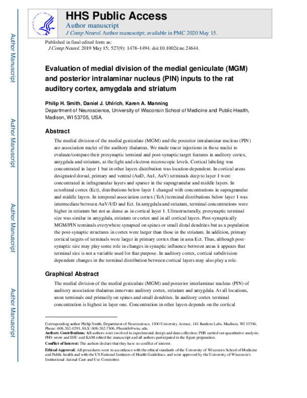 (PDF) Evaluation of medial division of the medial geniculate (MGM) and ...