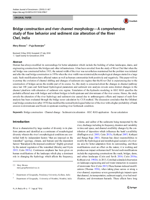 (PDF) Bridge construction and river channel morphology—A comprehensive ...