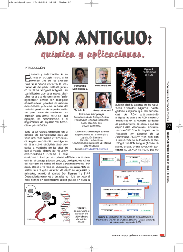 (PDF) ADN antiguo: Química y aplicaciones