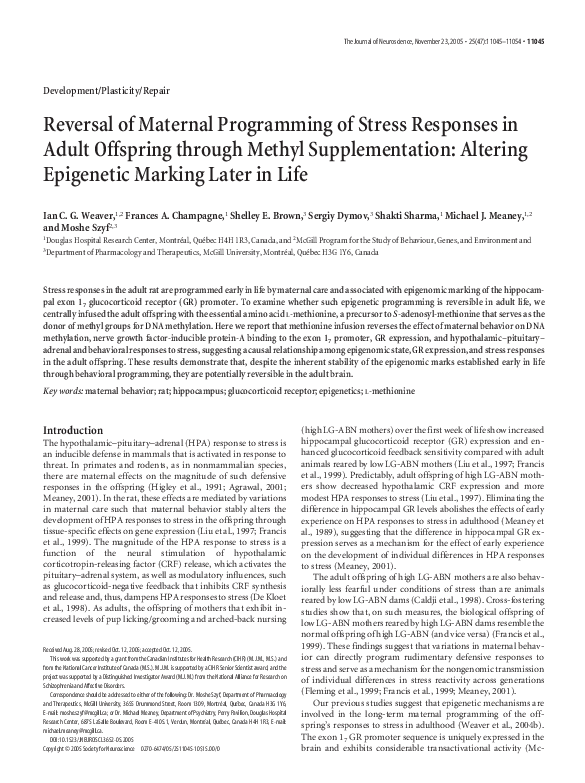 (PDF) Reversal of Maternal Programming of Stress Responses in Adult Offspring through Methyl ...
