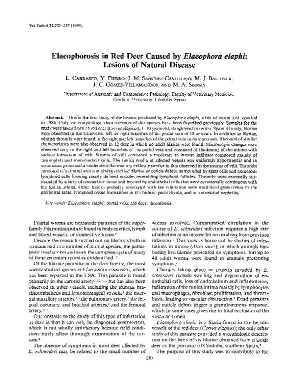 (PDF) Elaeophorosis in Red Deer Caused by Elaeophora elaphi: Lesions of ...