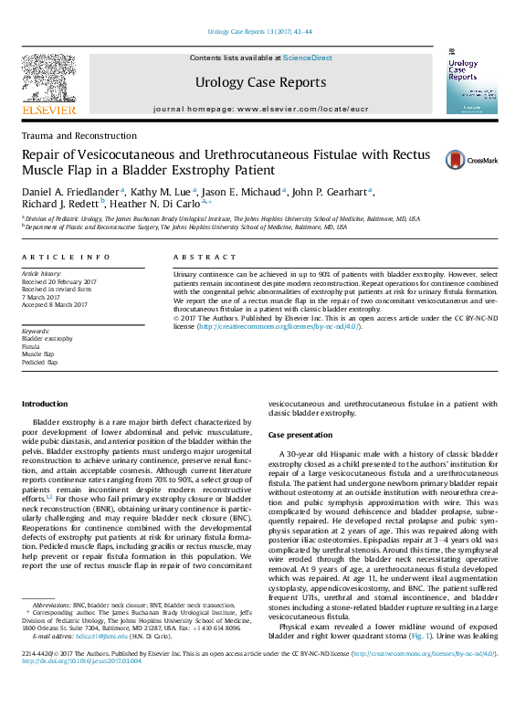 (PDF) Repair of Vesicocutaneous and Urethrocutaneous Fistulae with ...