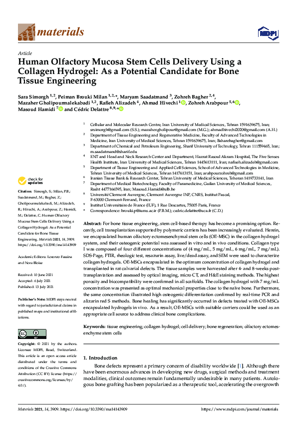 (PDF) Human Olfactory Mucosa Stem Cells Delivery Using a Collagen ...