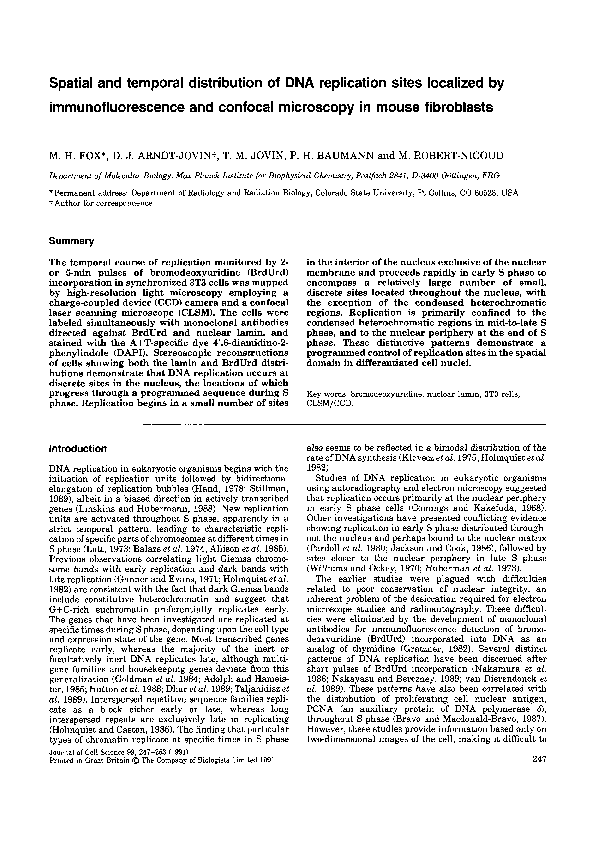 Pdf Spatial And Temporal Distribution Of Dna Replication Sites Localized By Immunofluorescence