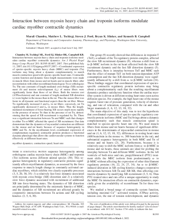 (PDF) Interaction between myosin heavy chain and troponin isoforms ...
