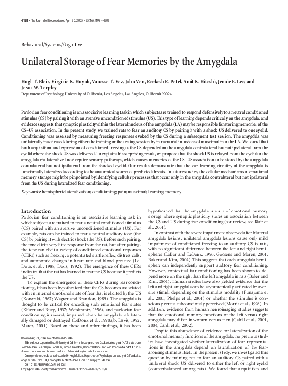 (PDF) Unilateral Storage of Fear Memories by the Amygdala