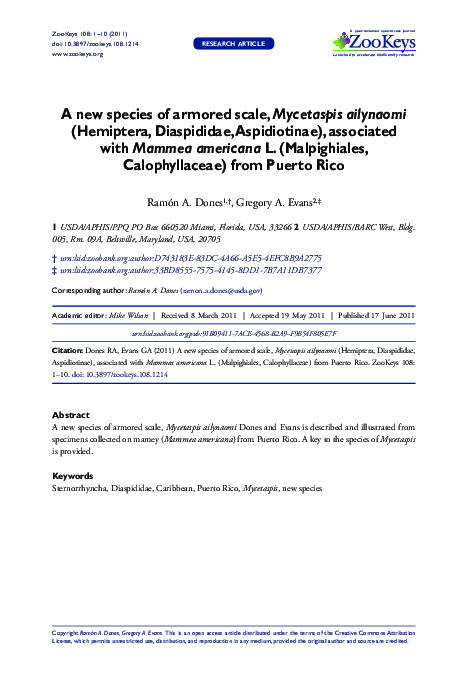 (PDF) A new species of armored scale, Mycetaspis ailynaomi (Hemiptera ...