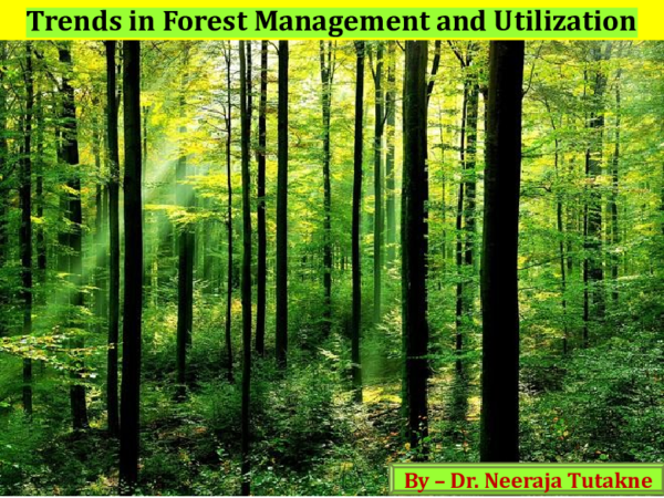 (PPT) Trends in forest management and utilization