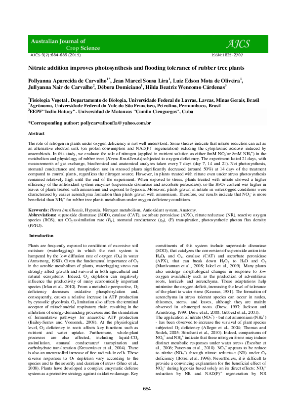 (PDF) Nitrate addition improves photosynthesis and flooding tolerance of rubber tree plants