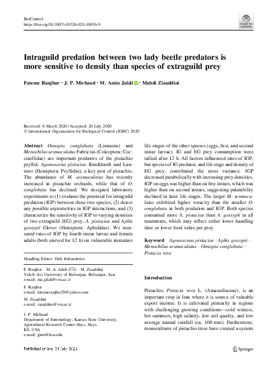 (PDF) Intraguild predation between two lady beetle predators is more ...