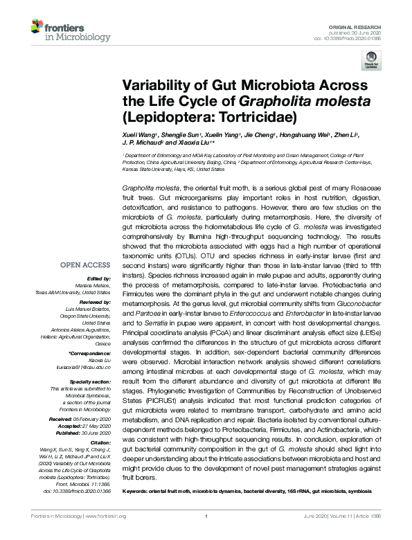 (PDF) Variability of Gut Microbiota Across the Life Cycle of Grapholita ...