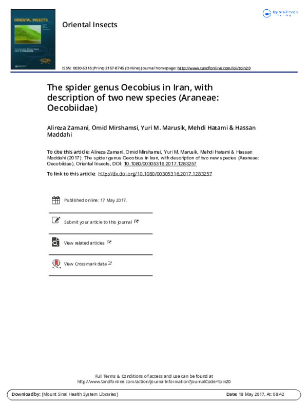 (PDF) The spider genus Oecobius in Iran, with description of two new ...