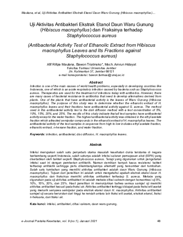 (PDF) Uji Aktivitas Antibakteri Ekstrak Etanol Daun Waru Gunung (Hibiscus macrophyllus) dan ...