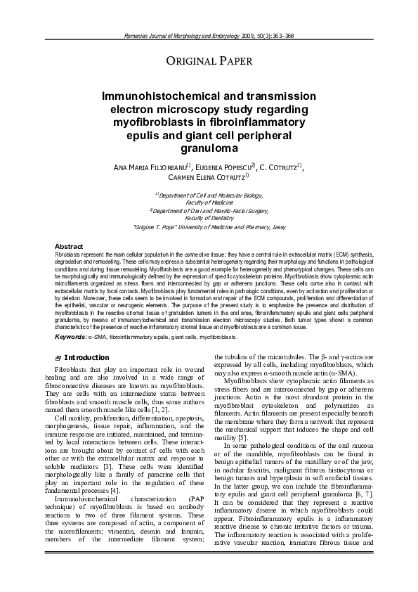 (PDF) Immunohistochemical and transmission electron microscopy study ...