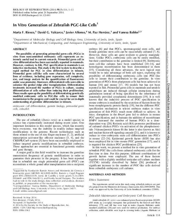 (PDF) In Vitro Generation of Zebrafish PGC-Like Cells