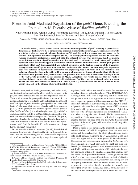 (PDF) Phenolic Acid-Mediated Regulation of the padC Gene, Encoding the ...