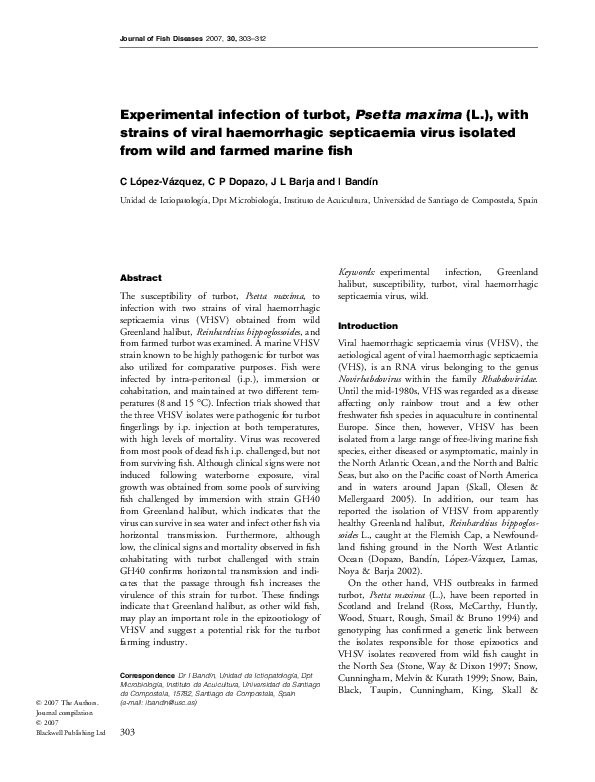 (PDF) Experimental infection of turbot, Psetta maxima (L.), with ...