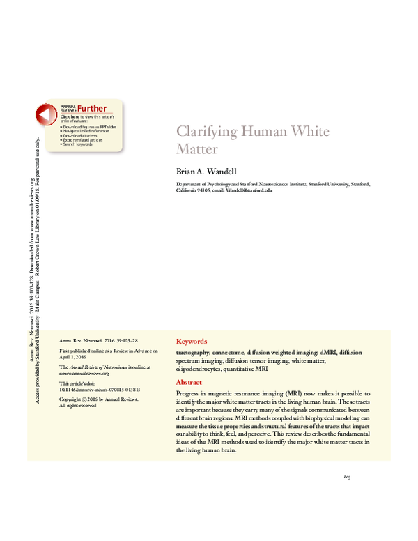 (PDF) Clarifying Human White Matter