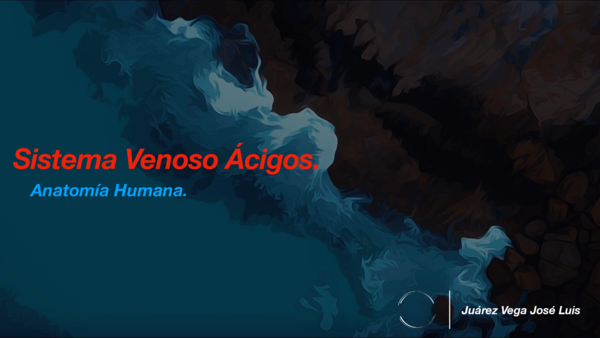 (PDF) Sistema Venoso Ácigos