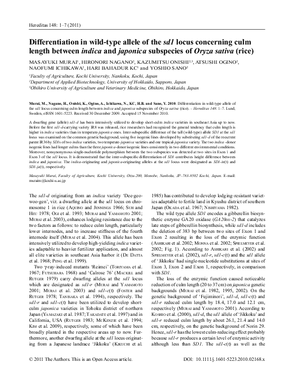 (PDF) Differentiation in wild-type allele of the sd1 locus concerning ...