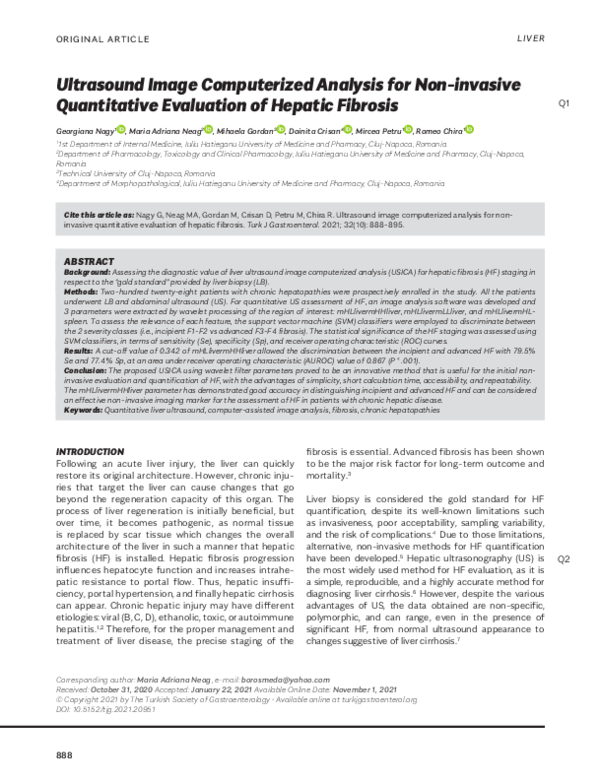 (PDF) Ultrasound Image Computerized Analysis for Non-invasive Quantitative Evaluation of Hepatic ...