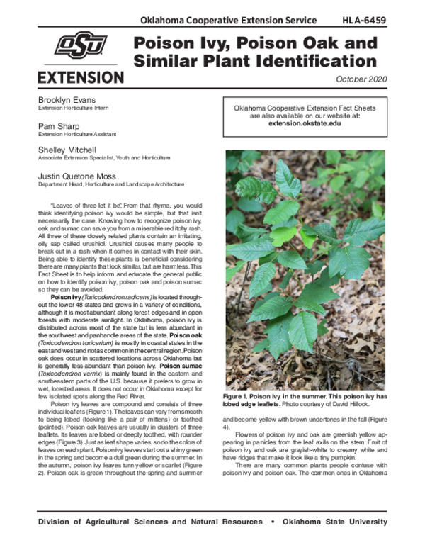 (PDF) Poison ivy, poison oak and similar plant identification