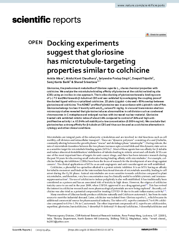(PDF) Docking experiments suggest that gloriosine has microtubule ...