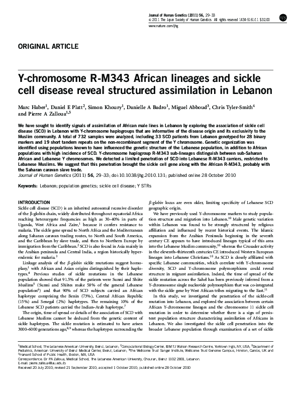 (PDF) Y-chromosome R-M343 African lineages and sickle cell disease reveal structured ...