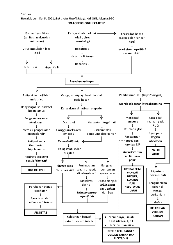 (PDF) patofisiologi-hepatitis