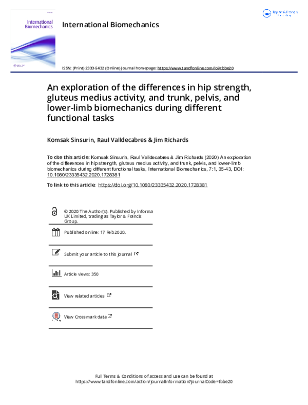 (PDF) An exploration of the differences in hip strength, gluteus medius ...