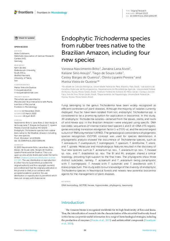 (PDF) Endophytic Trichoderma species from rubber trees native to the Brazilian Amazon, including ...